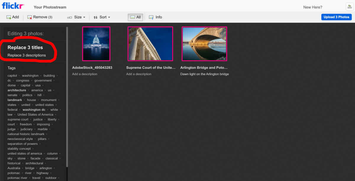 How to Create A Flickr Photo Album – Web Design and Services