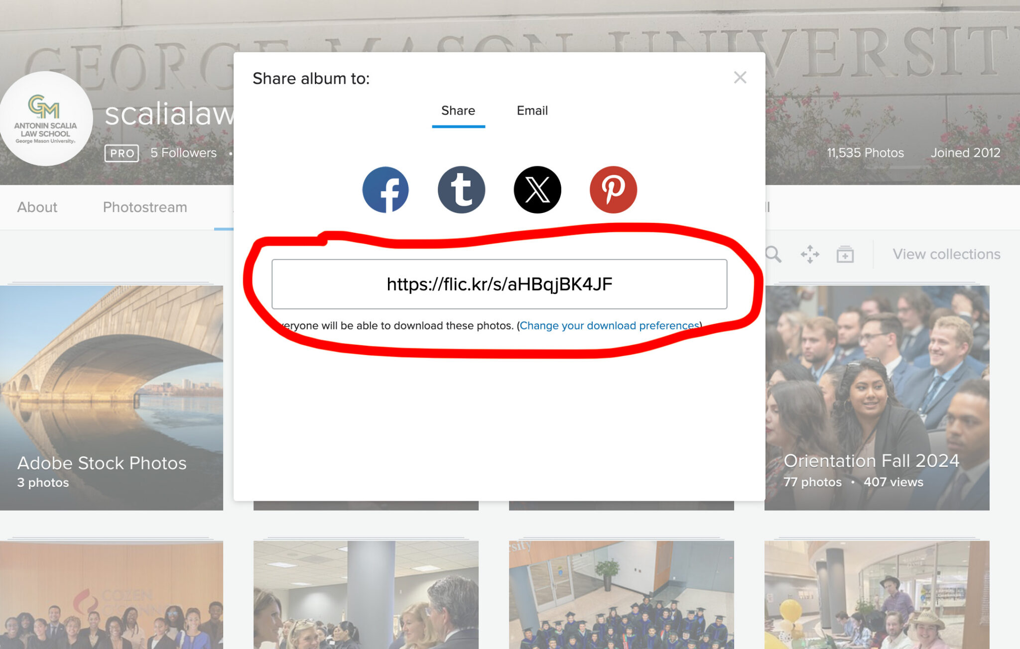 How to Create A Flickr Photo Album – Web Design and Services